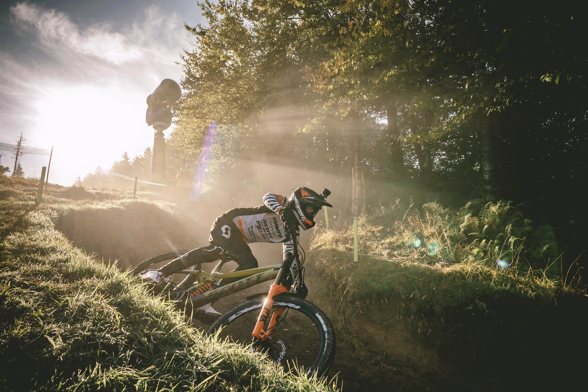 Encuentra tu tienda - Scott México