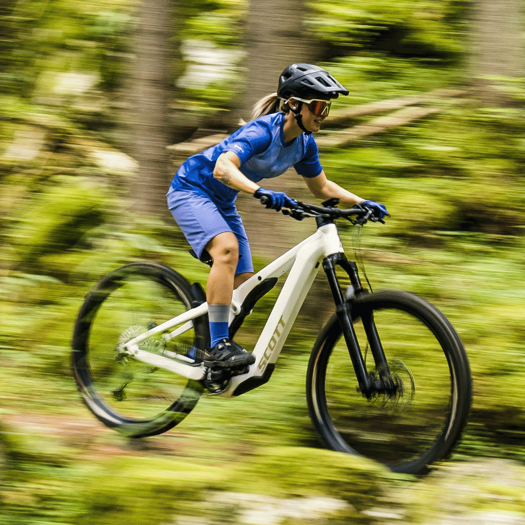 Categorías - Scott México